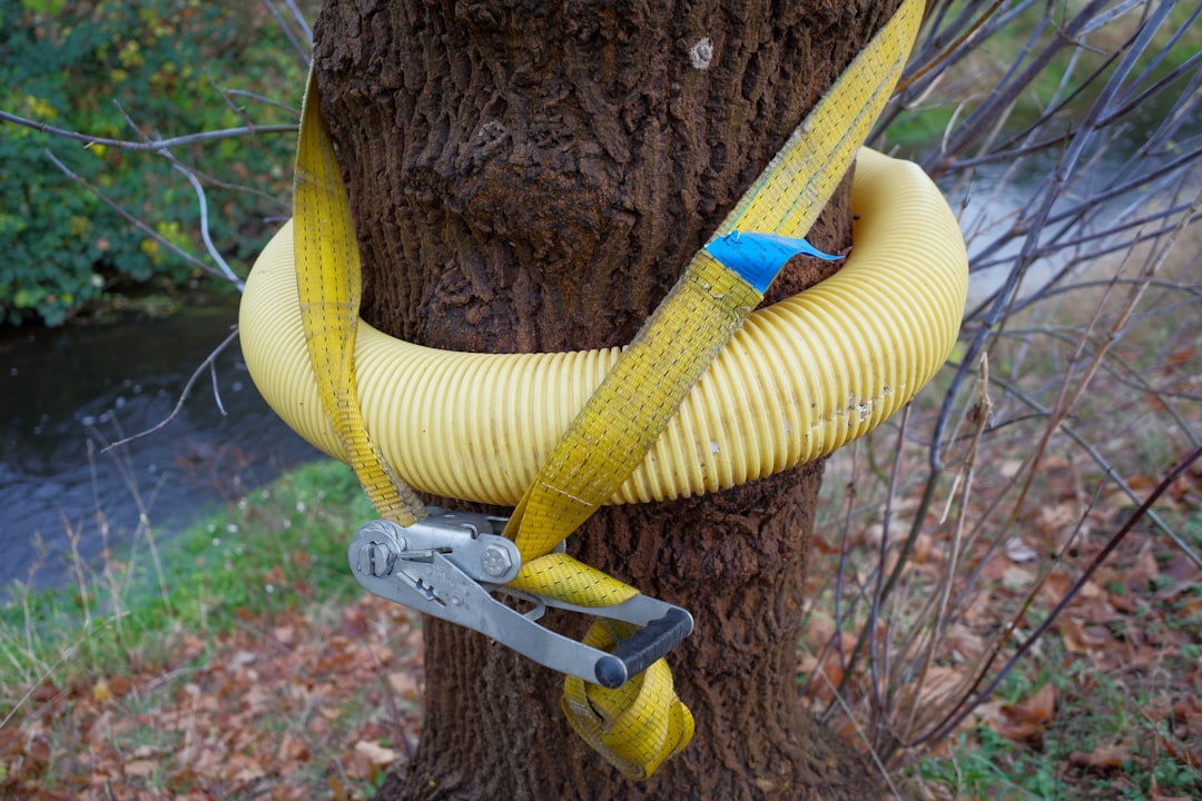 Enhance Tree Safety with Cabling and Bracing in Topeka